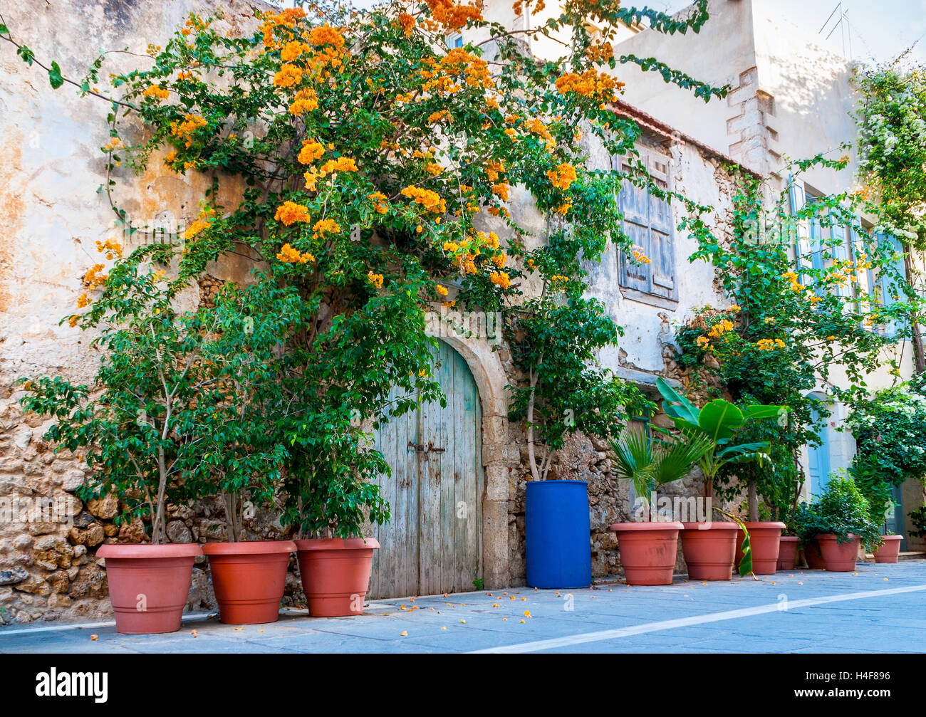 Rethymno Crete Flowers Stock Photos & Rethymno Crete Flowers Stock ...