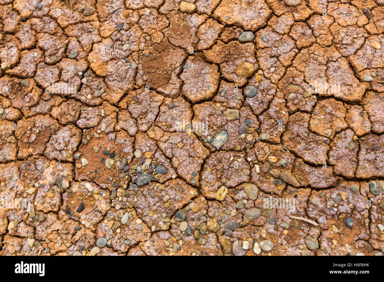 Loamy soil hi-res stock photography and images - Alamy