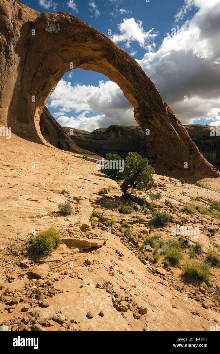 Potash scenic byway hi-res stock photography and images - Alamy