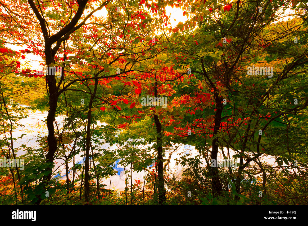 Colorful fall scenery Stock Photo - Alamy
