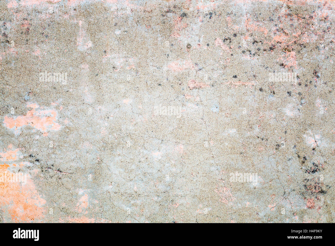 Old wall with mold Stock Photo - Alamy