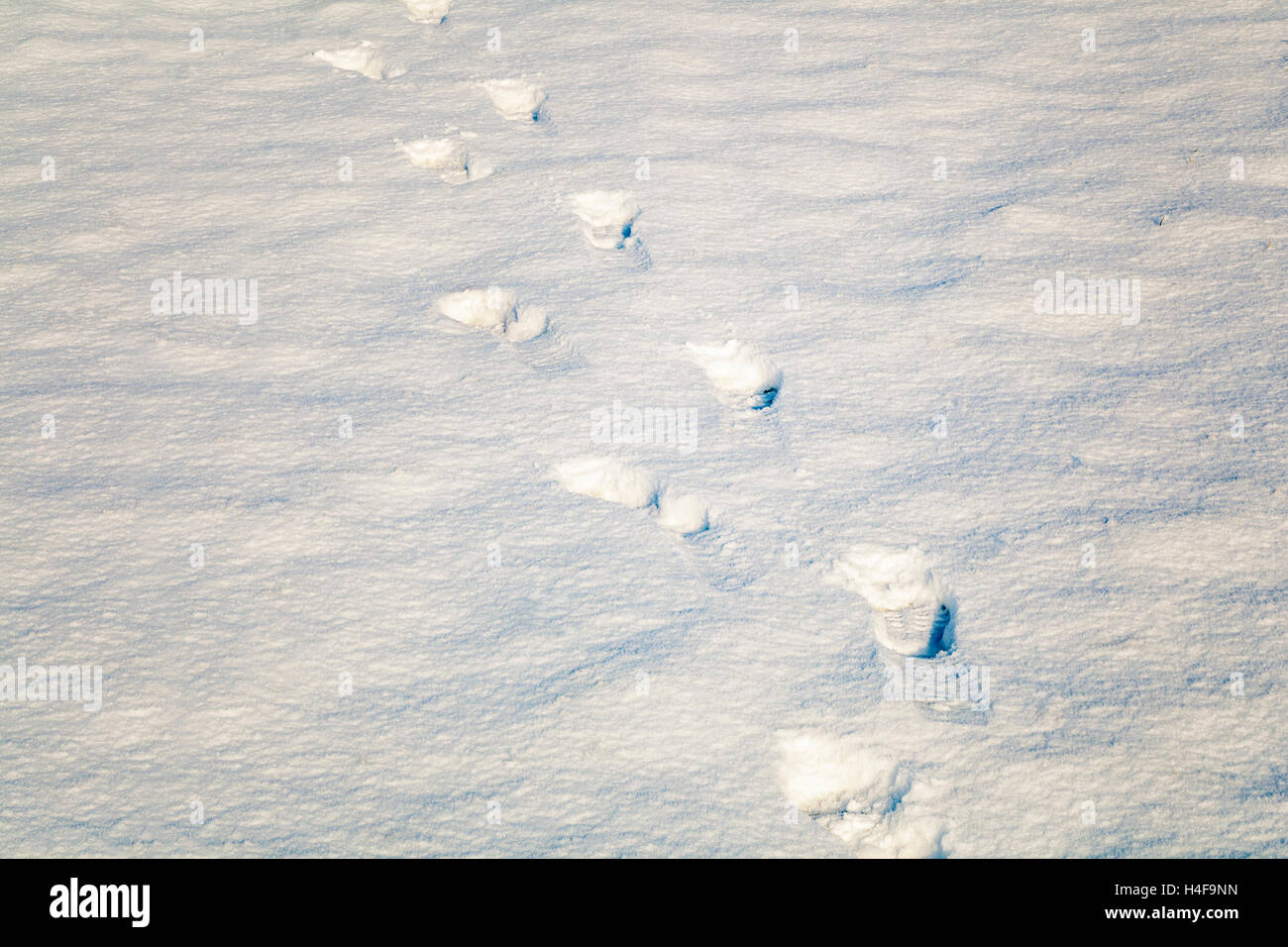 Footprints in the snow Stock Photo - Alamy