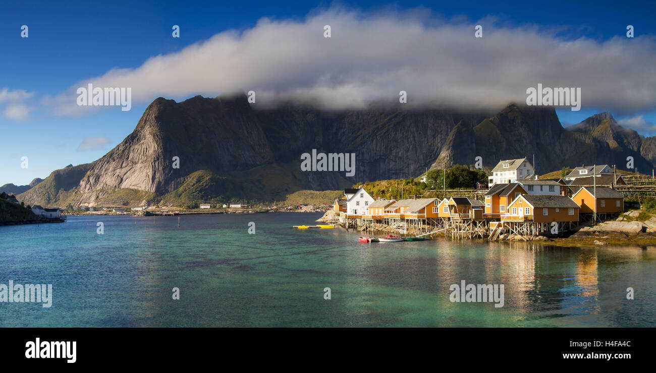 Rorbus High Resolution Stock Photography and Images - Alamy