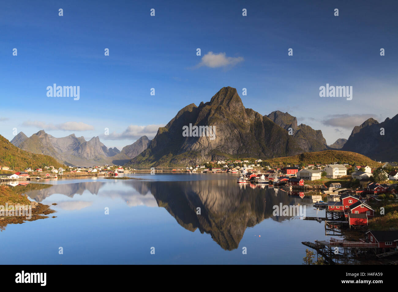 Rorbus High Resolution Stock Photography and Images - Alamy