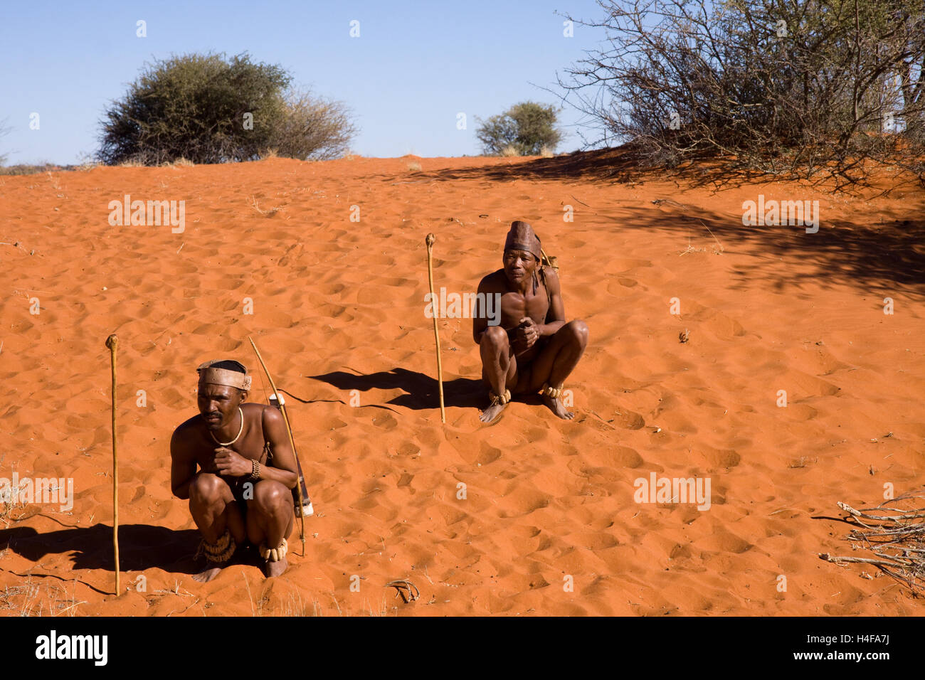 san bushmen family in hunting day in the kalahari desert of central ...