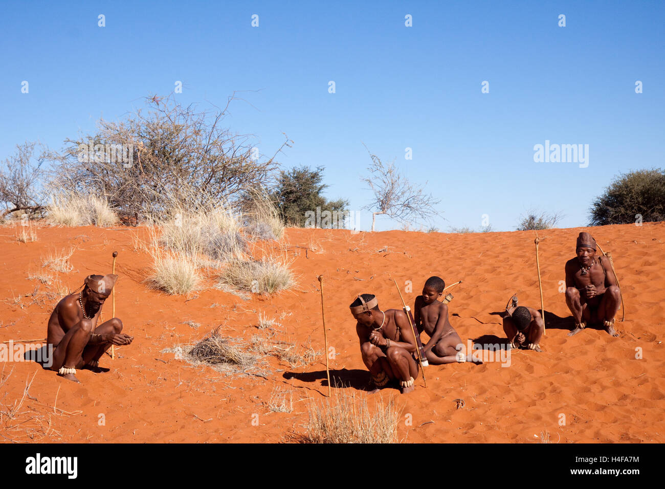 san bushmen during a hunting in central kalahari in namibia Stock Photo ...