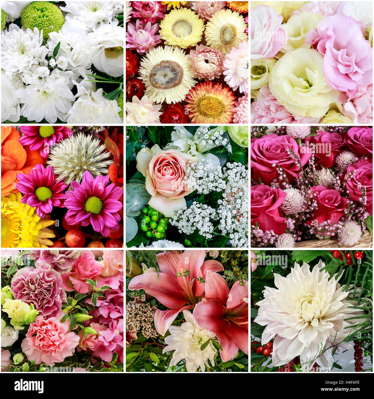 Collage with bouquets of flowers. Floral backgrounds Stock Photo - Alamy