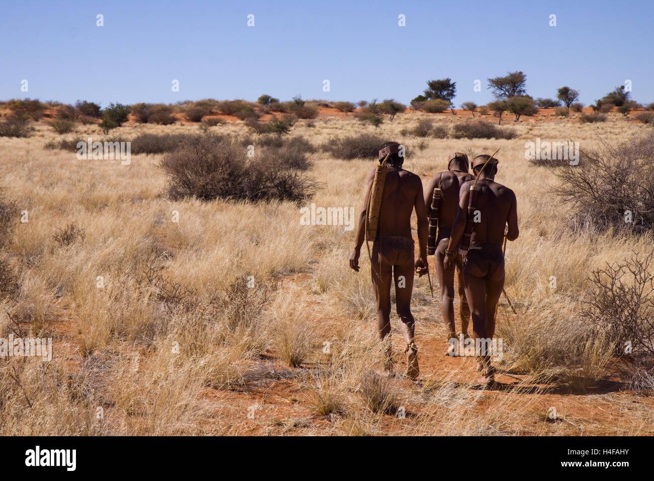 family of san bushmen in the desert of kalahari in central namibia ...