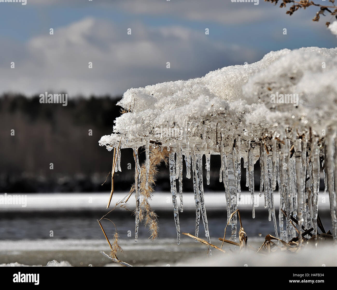The Neva river in the Leningrad region Stock Photo - Alamy