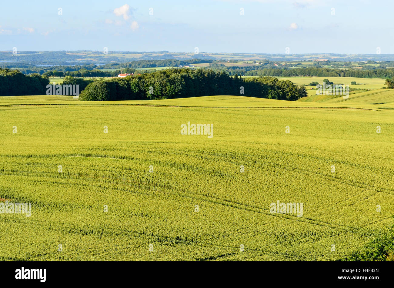 Fields of Denmark, seen from Denmark's highest point Stock Photo - Alamy