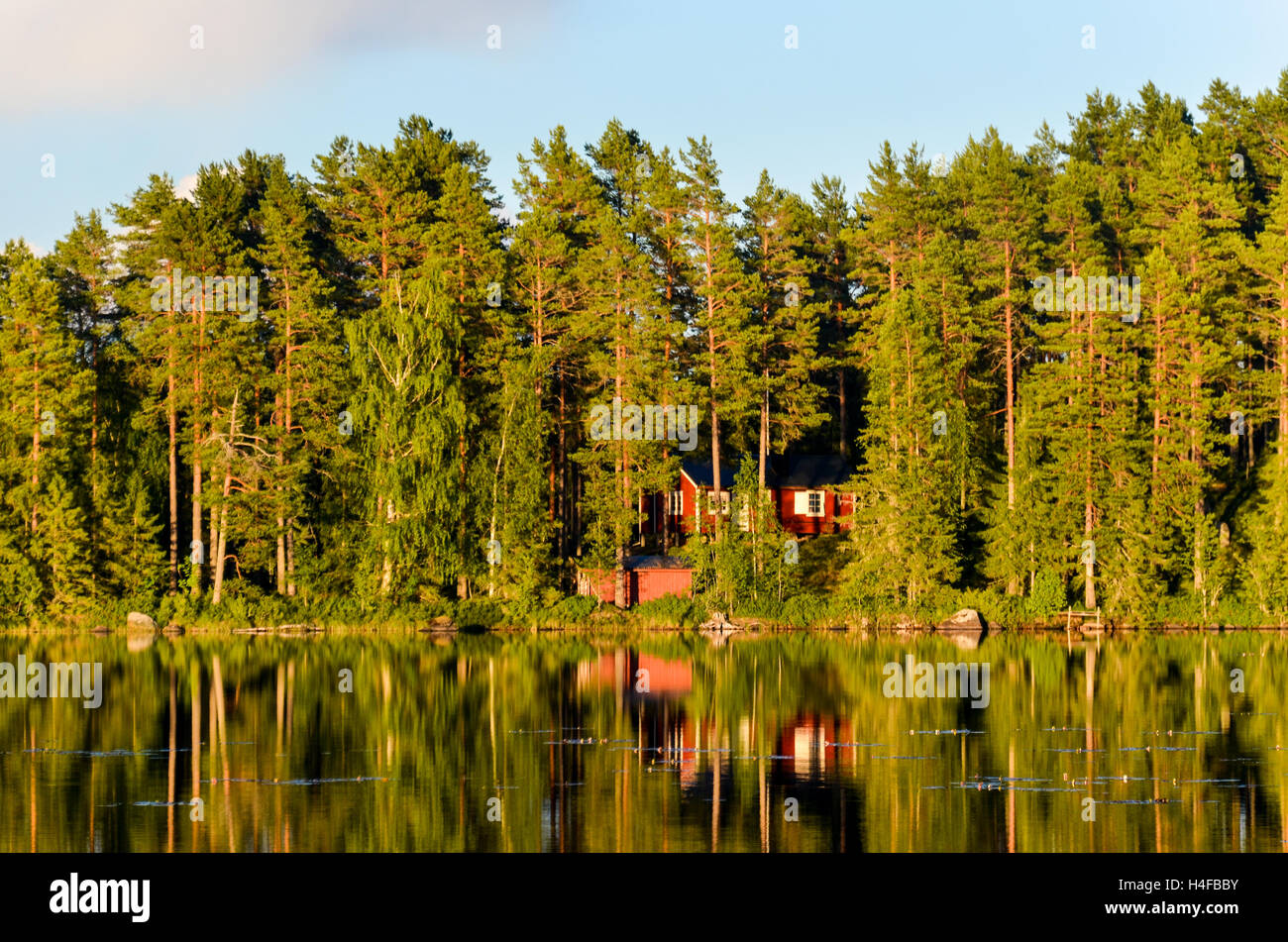 Sweden forest hi-res stock photography and images - Alamy