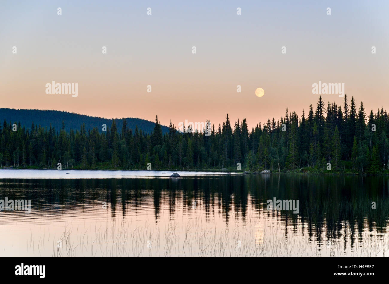 Full moon over a lake in a forest of Sweden, during sunset Stock Photo ...