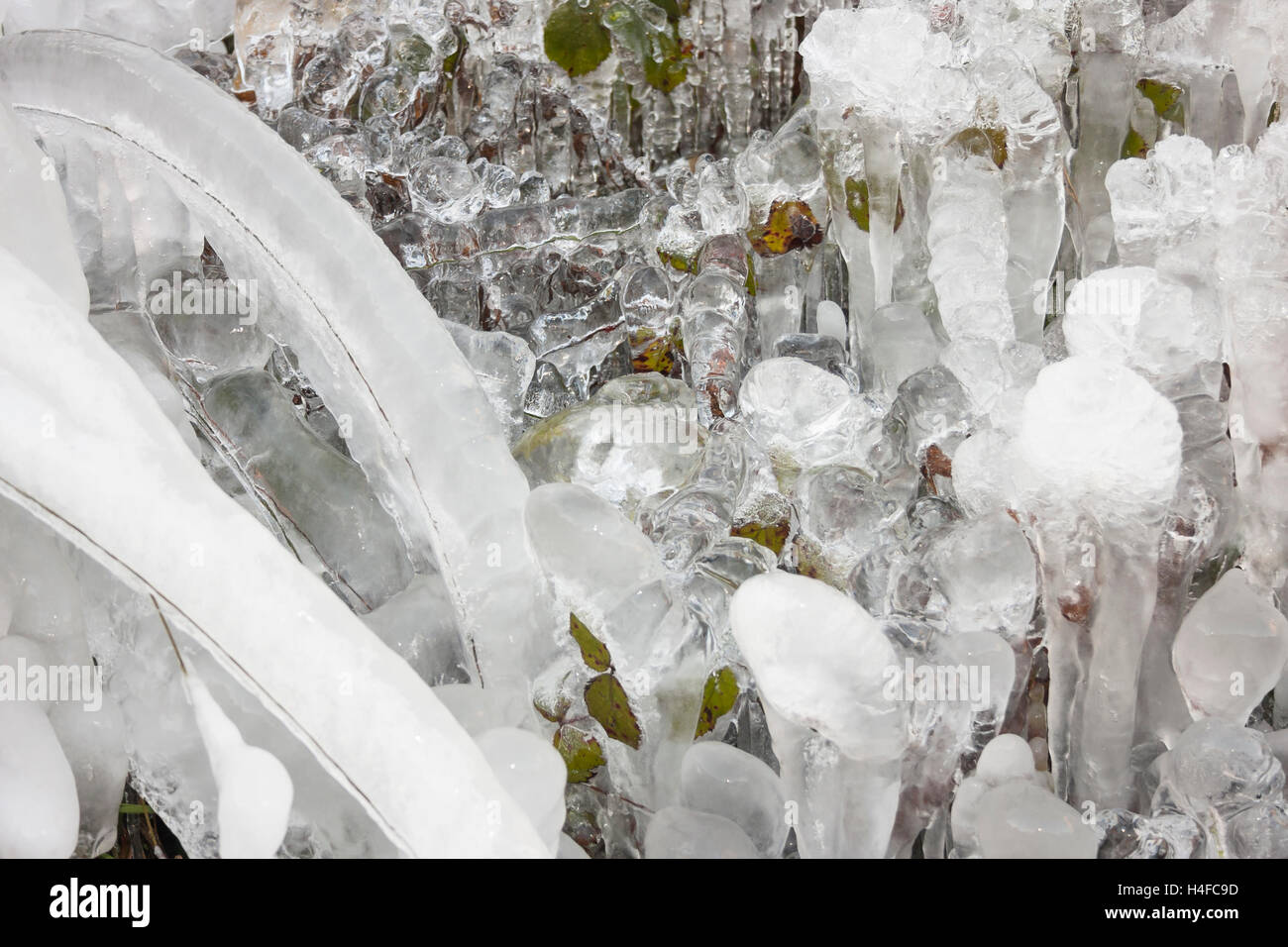 natural ice sculpture abstract shapes of plants frozen in ice Stock ...