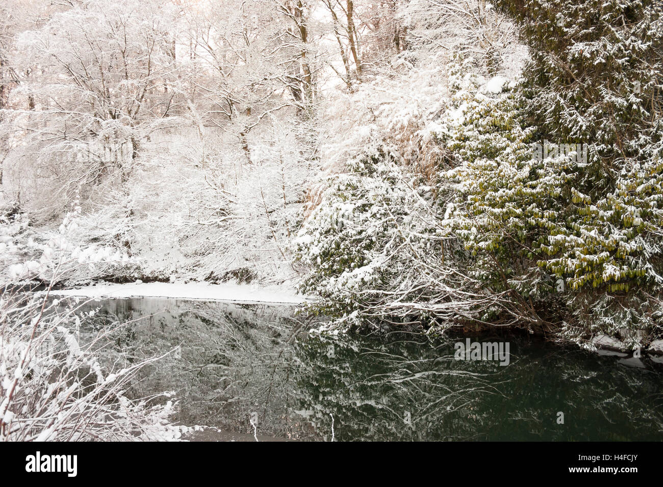 winter snow river landscape Stock Photo - Alamy