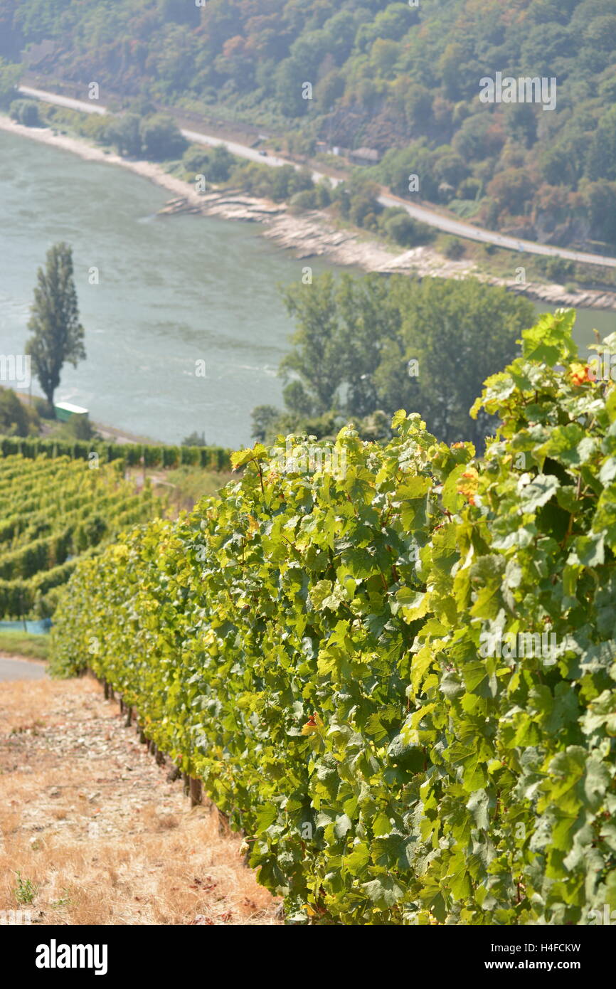 Goethe castle hi-res stock photography and images - Alamy