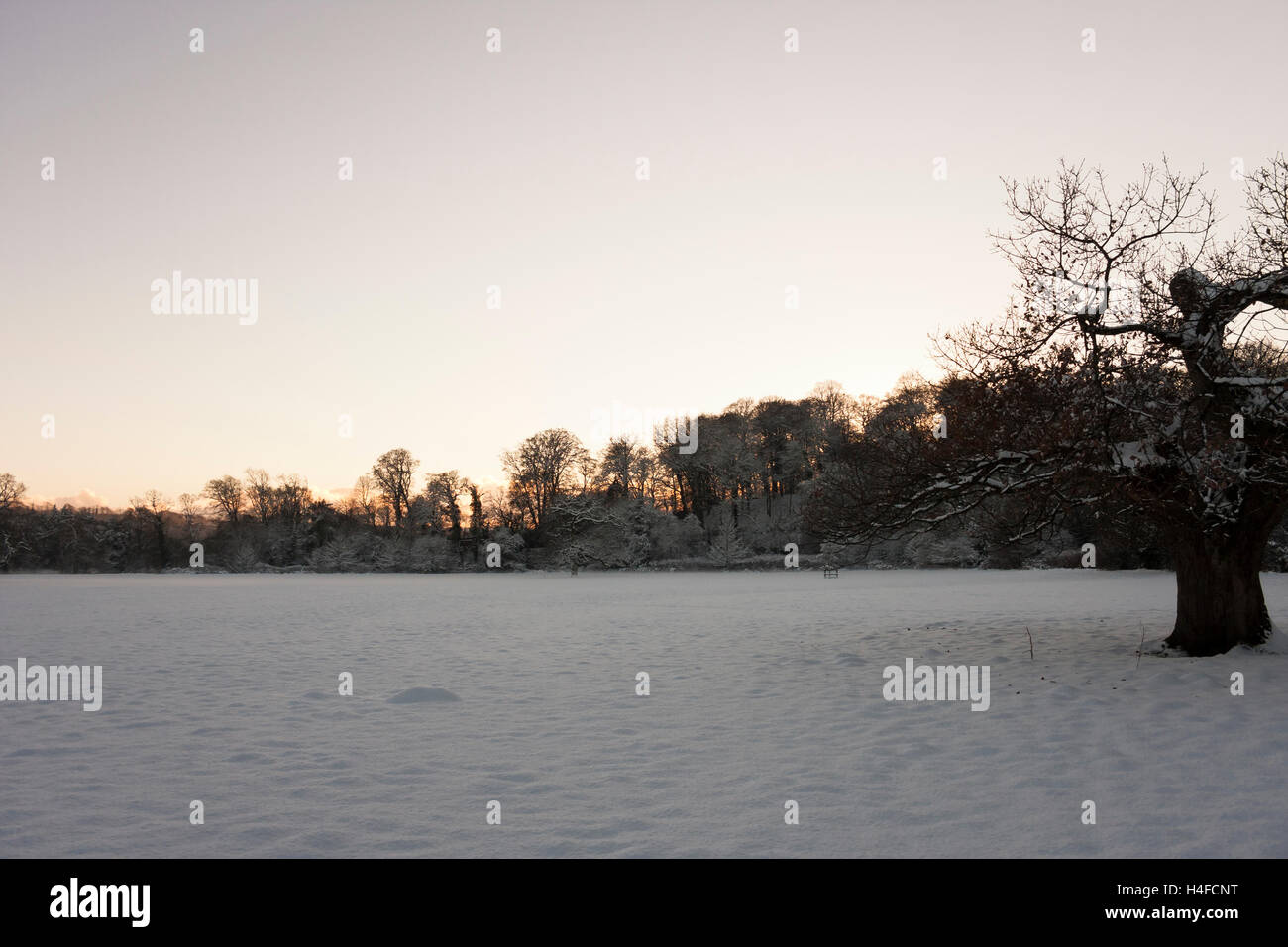 winter snow twilight landscape Stock Photo - Alamy