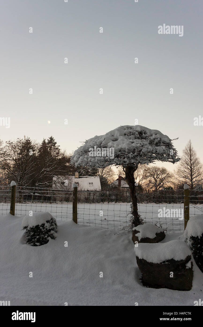Dusk twilight winter hi-res stock photography and images - Alamy