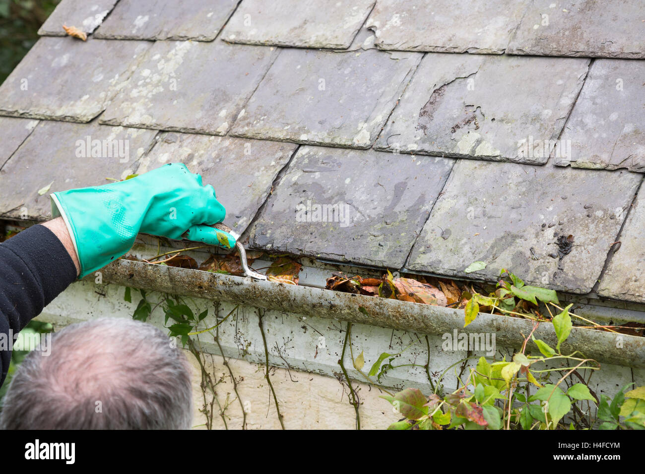 Blocked Gutters High Resolution Stock Photography and Images - Alamy