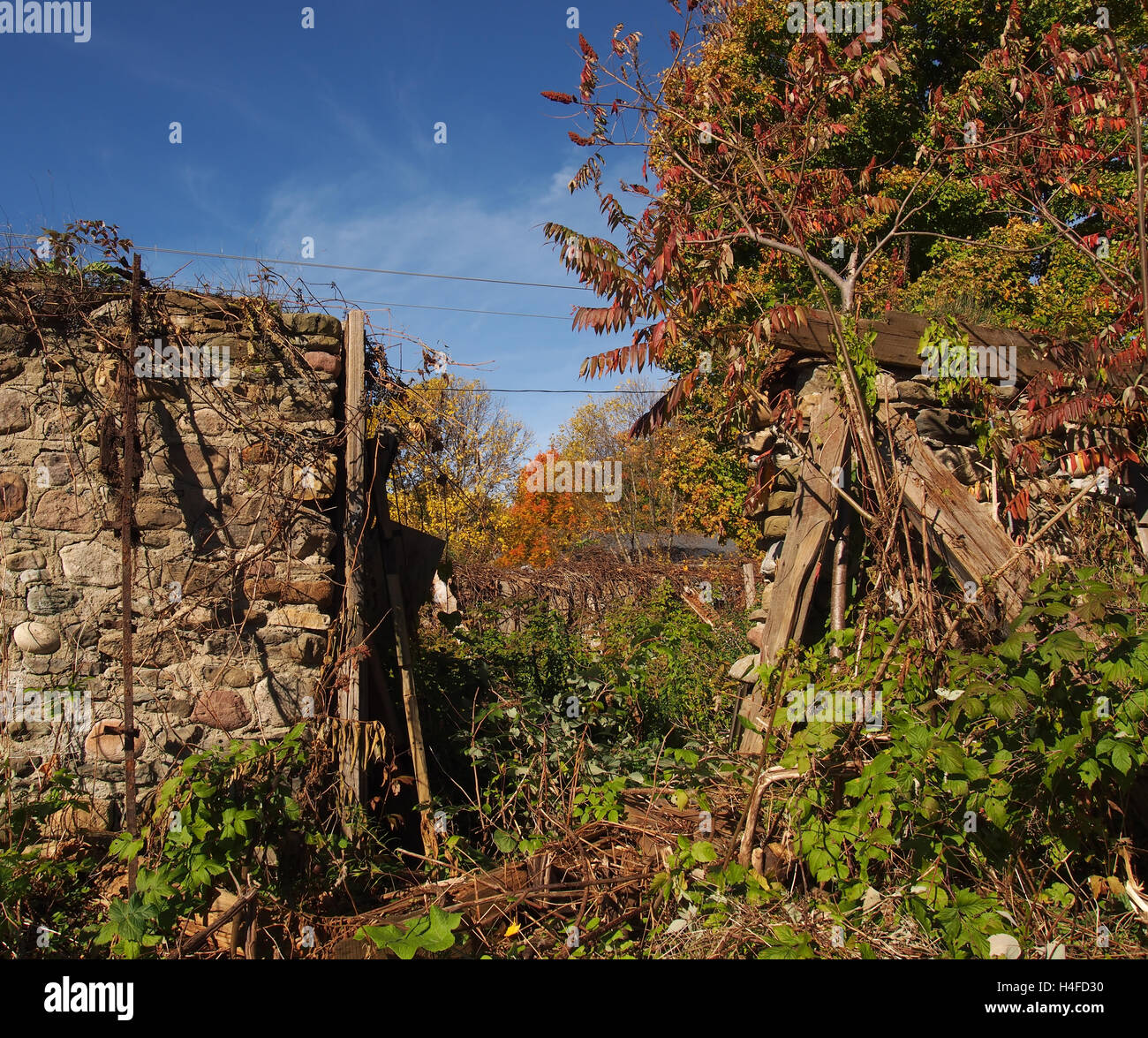 abandoned barn ruins Stock Photo - Alamy