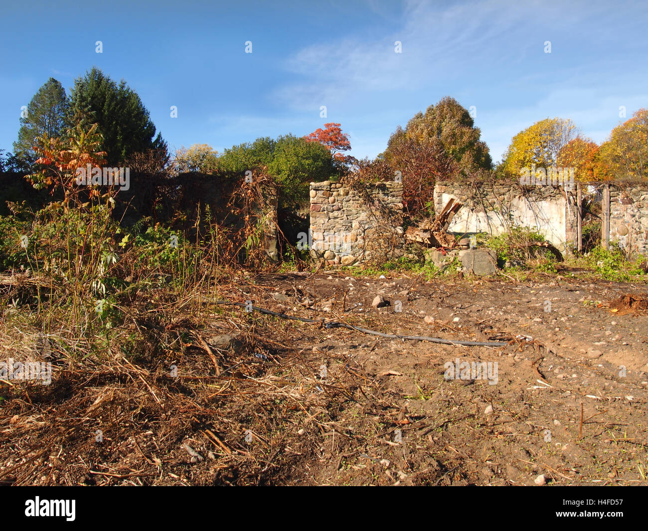 abandoned barn ruins Stock Photo - Alamy