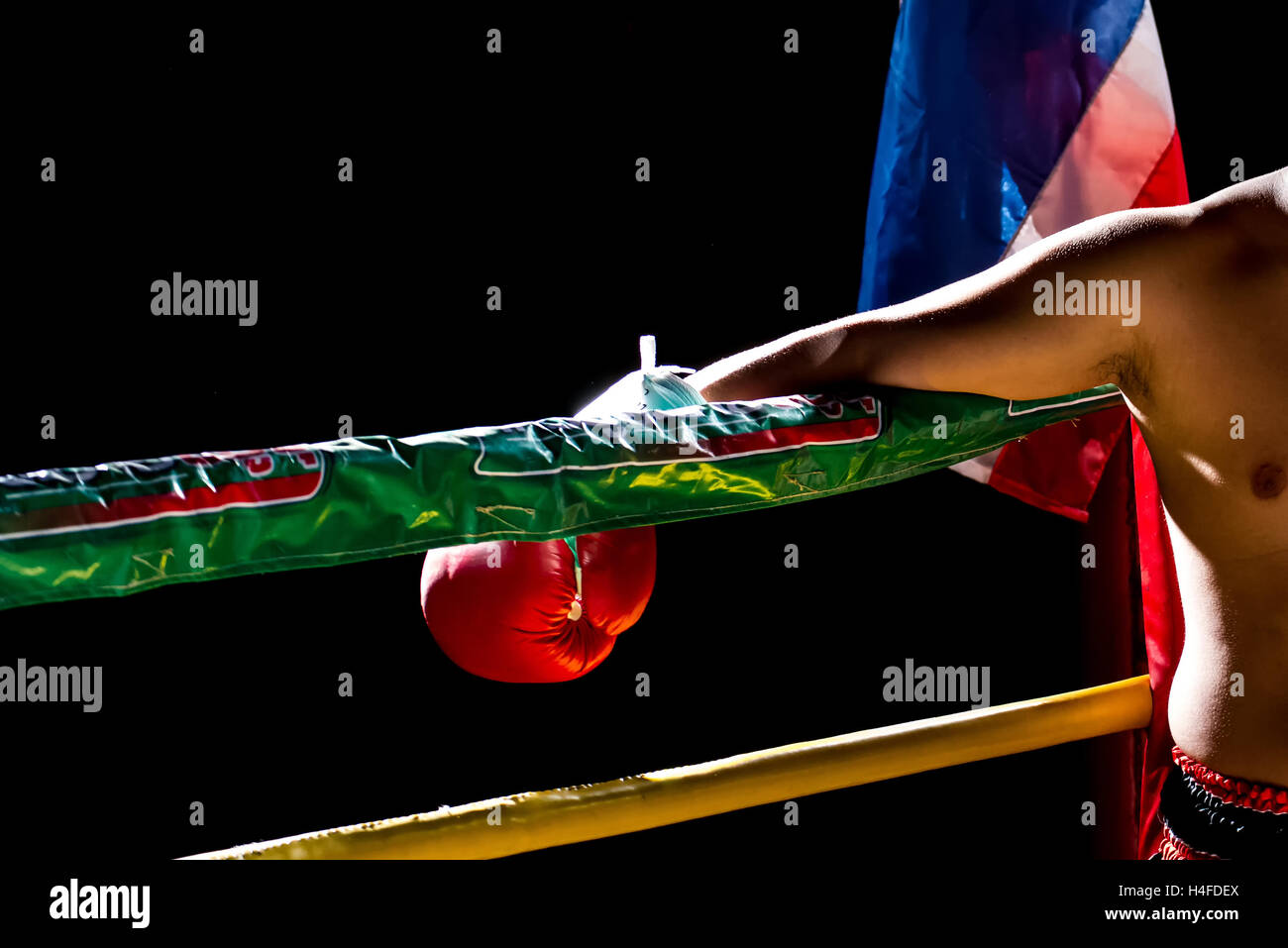 Boxer at conner boxing stadium in fight match Stock Photo - Alamy