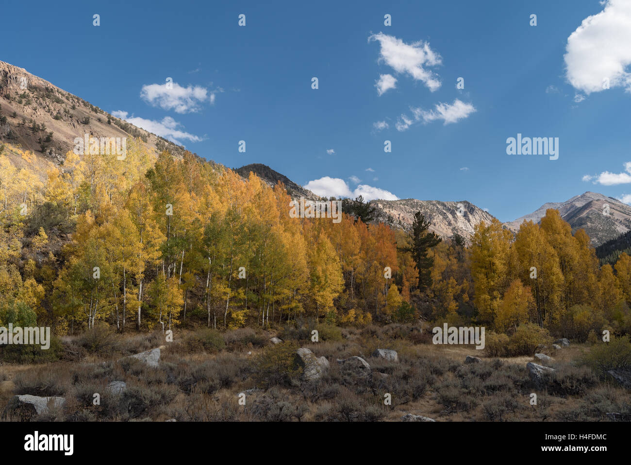 Beautiful sierra nevada mountain hi-res stock photography and images ...