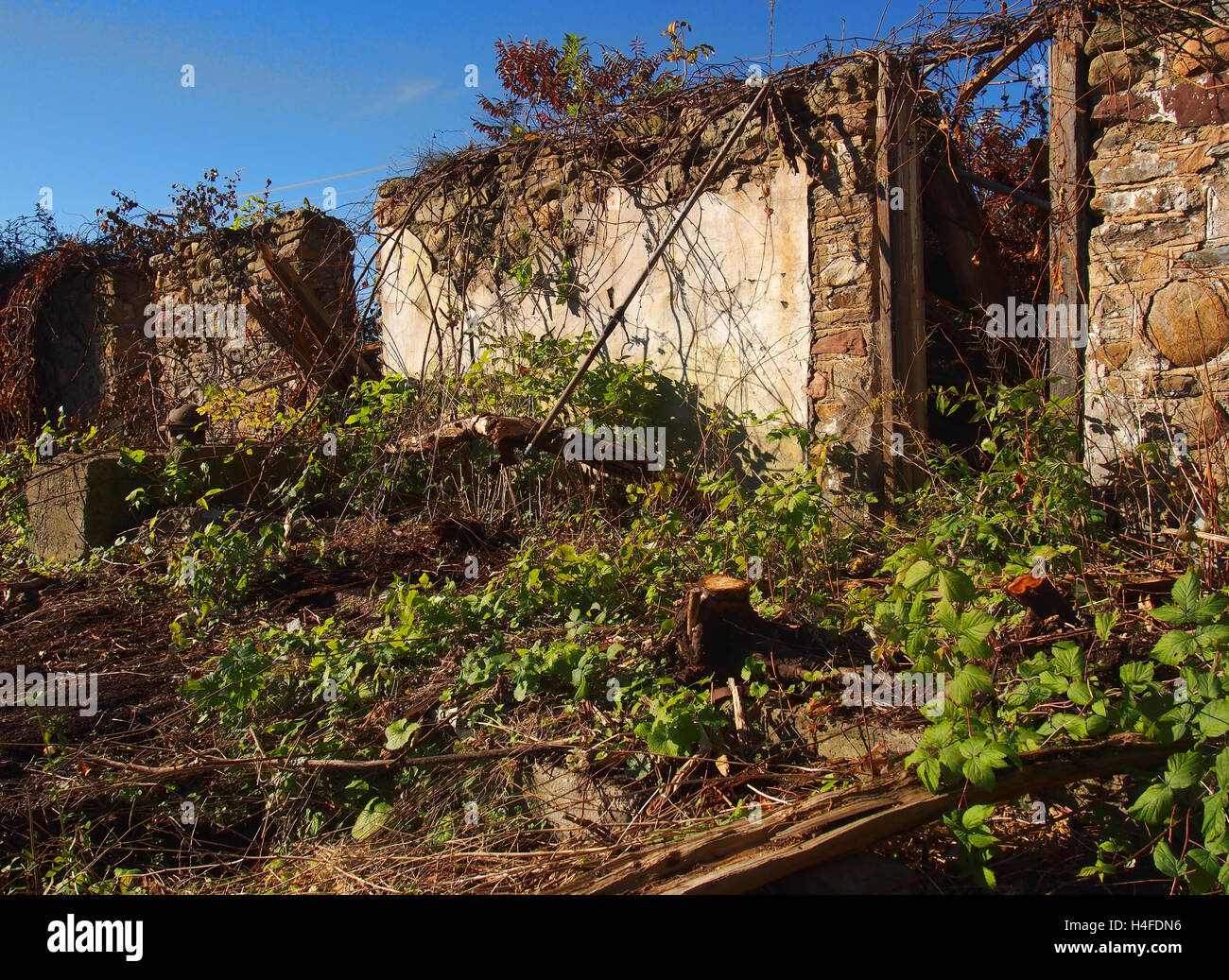 abandoned barn ruins Stock Photo - Alamy