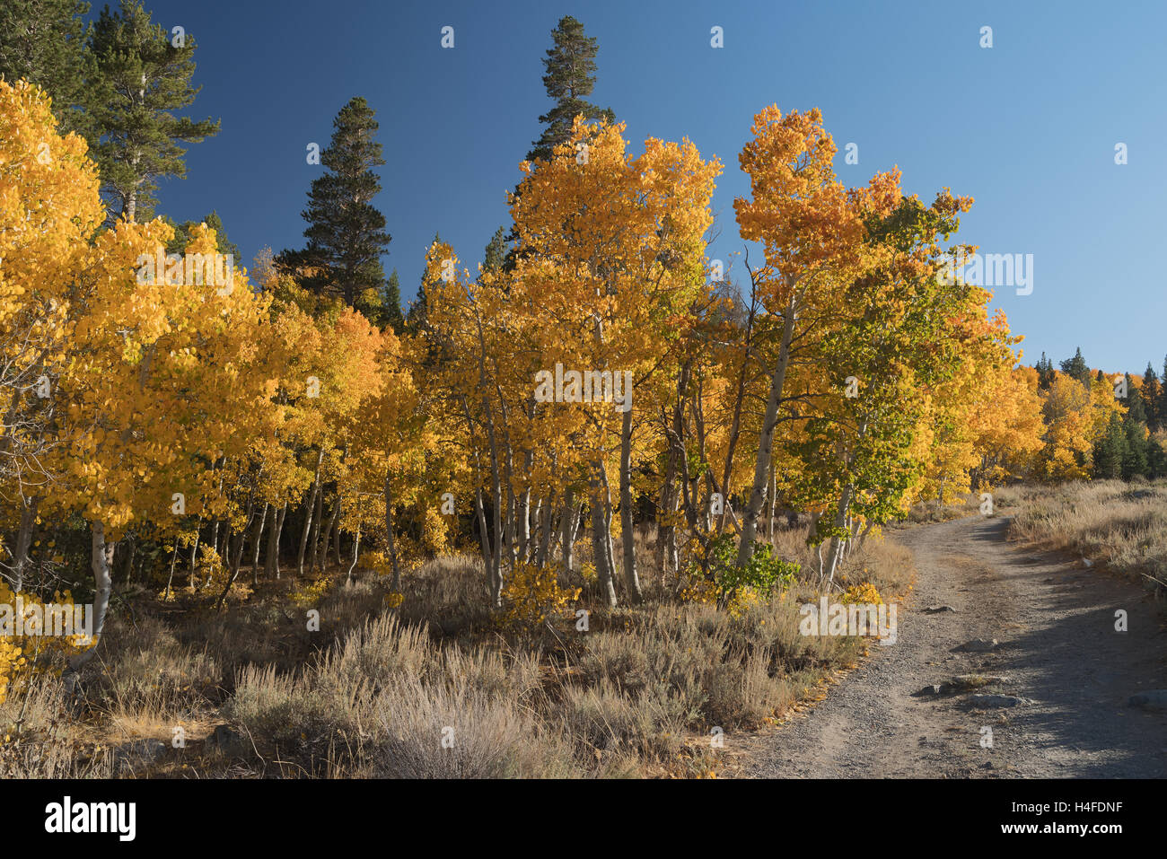 Route 168 hi-res stock photography and images - Alamy