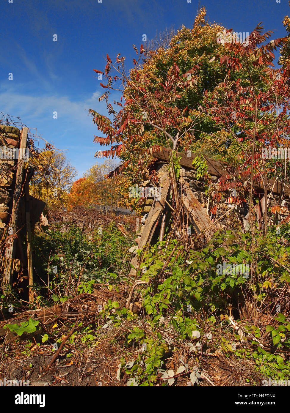 abandoned barn ruins Stock Photo - Alamy
