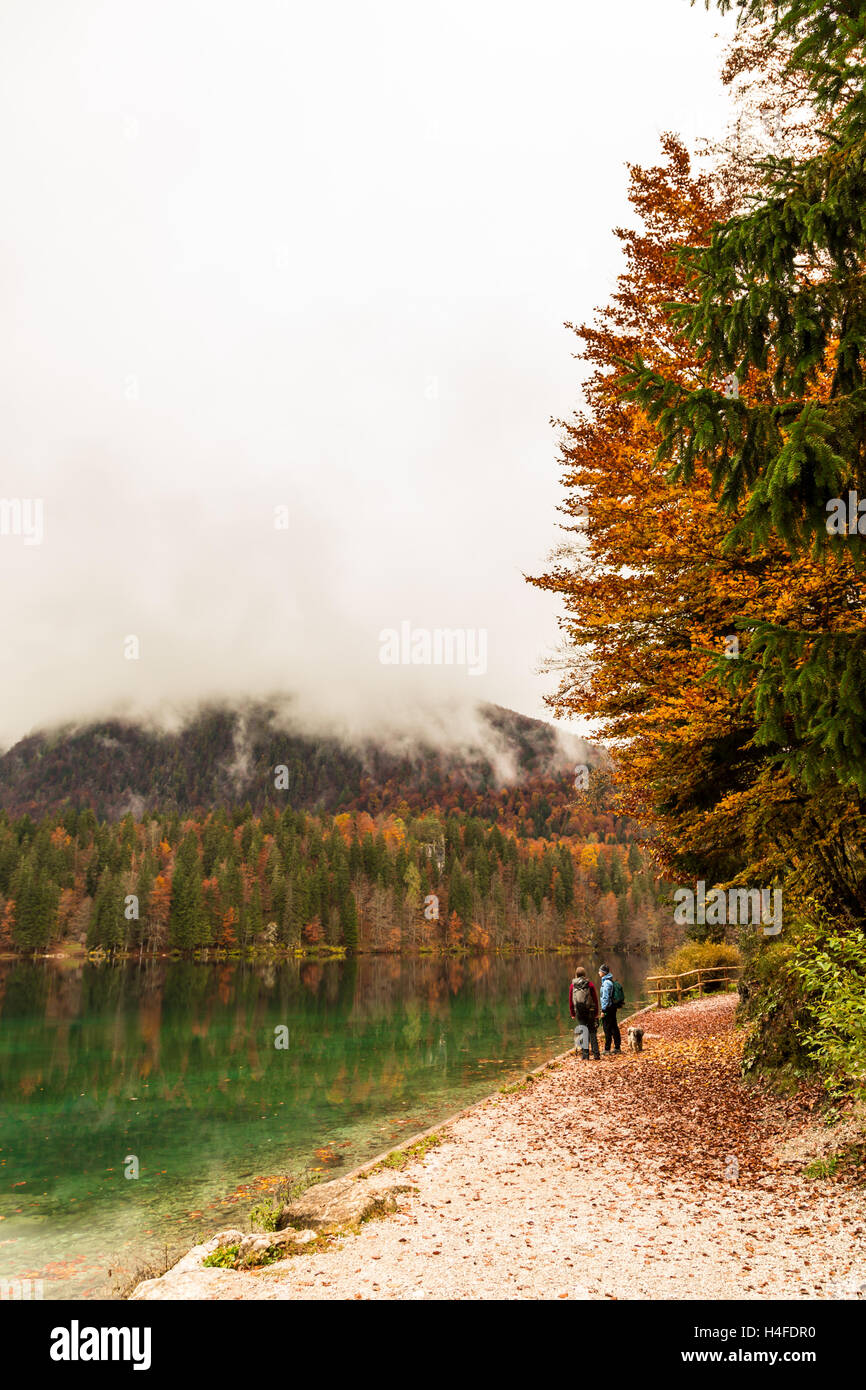 two girls walking in the forest in the italian alps Stock Photo - Alamy