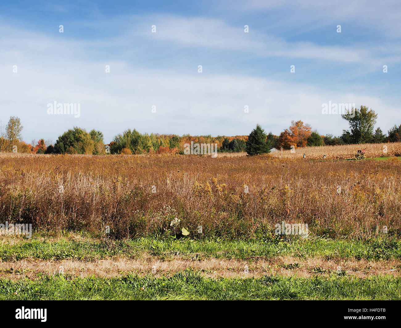 Acres farm fields hi-res stock photography and images - Alamy