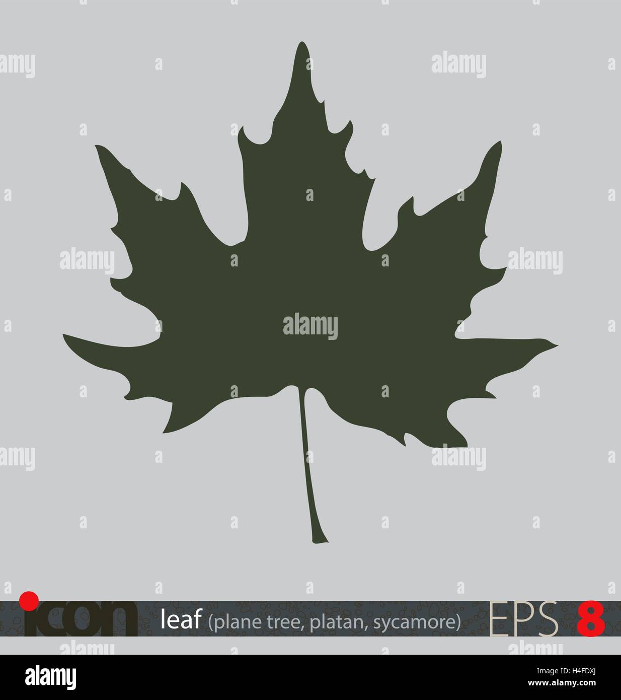 Tree leaf icon or logo (plane tree leaf); vector design on isolated ...