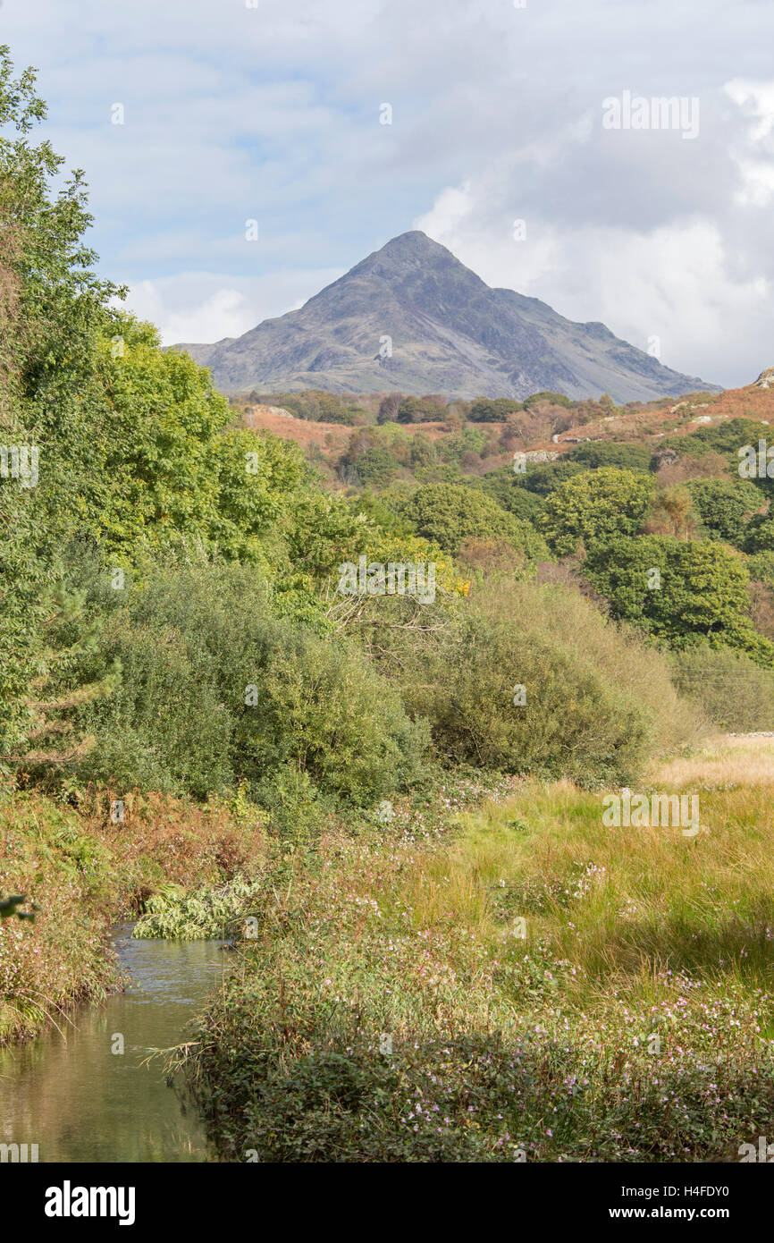 Moelwynion Mountain Range High Resolution Stock Photography and Images ...