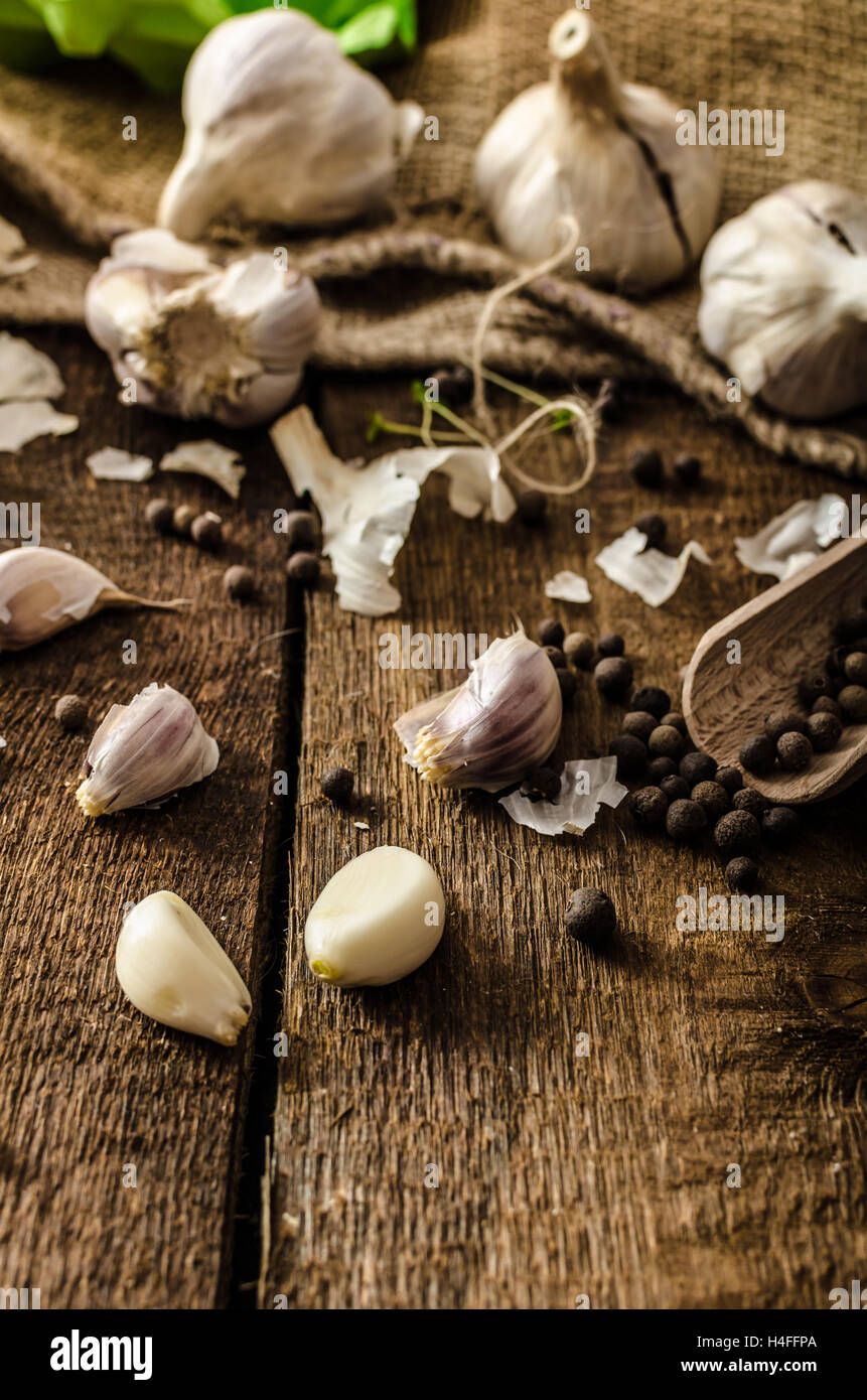 Domestic bio garlic - Czech, spices and fresh microgreens plants Stock ...