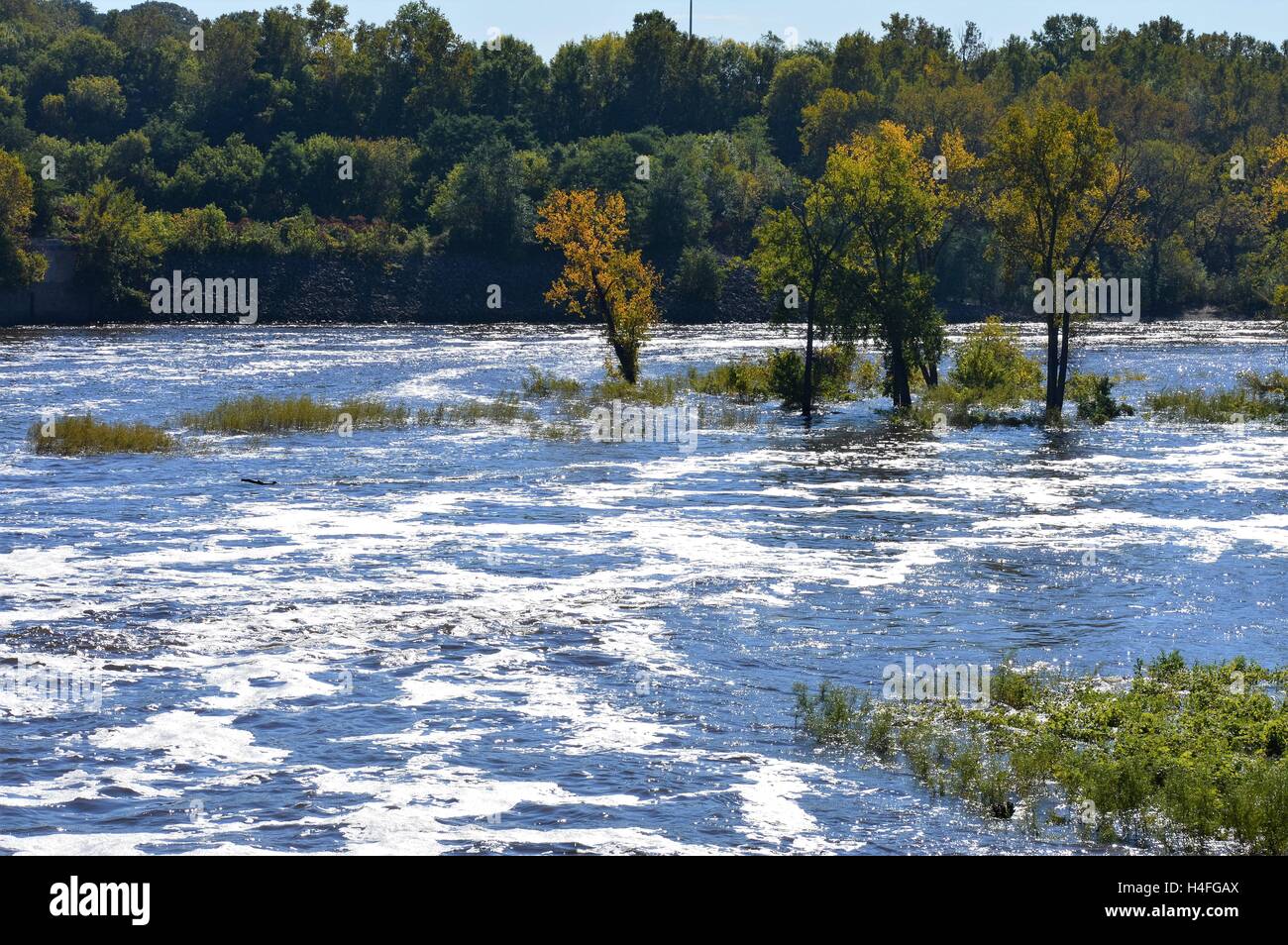 High Water Level in the River Stock Photo - Alamy
