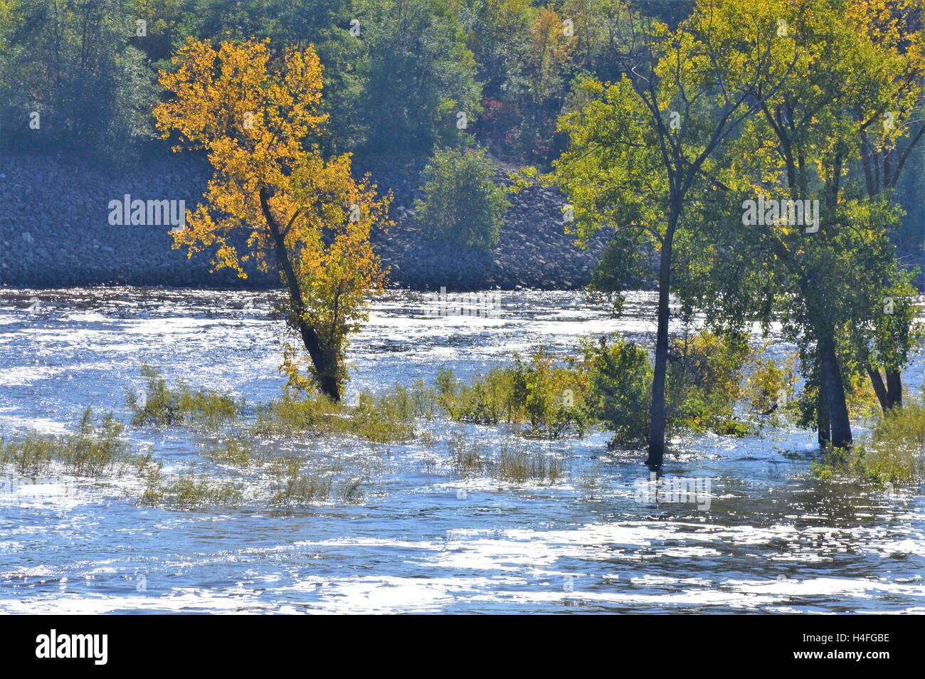 High Water Level in the River Stock Photo - Alamy