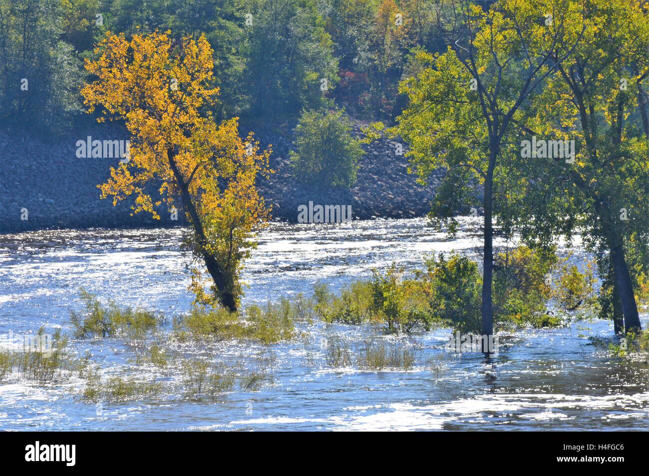 High Water Level in the River Stock Photo - Alamy