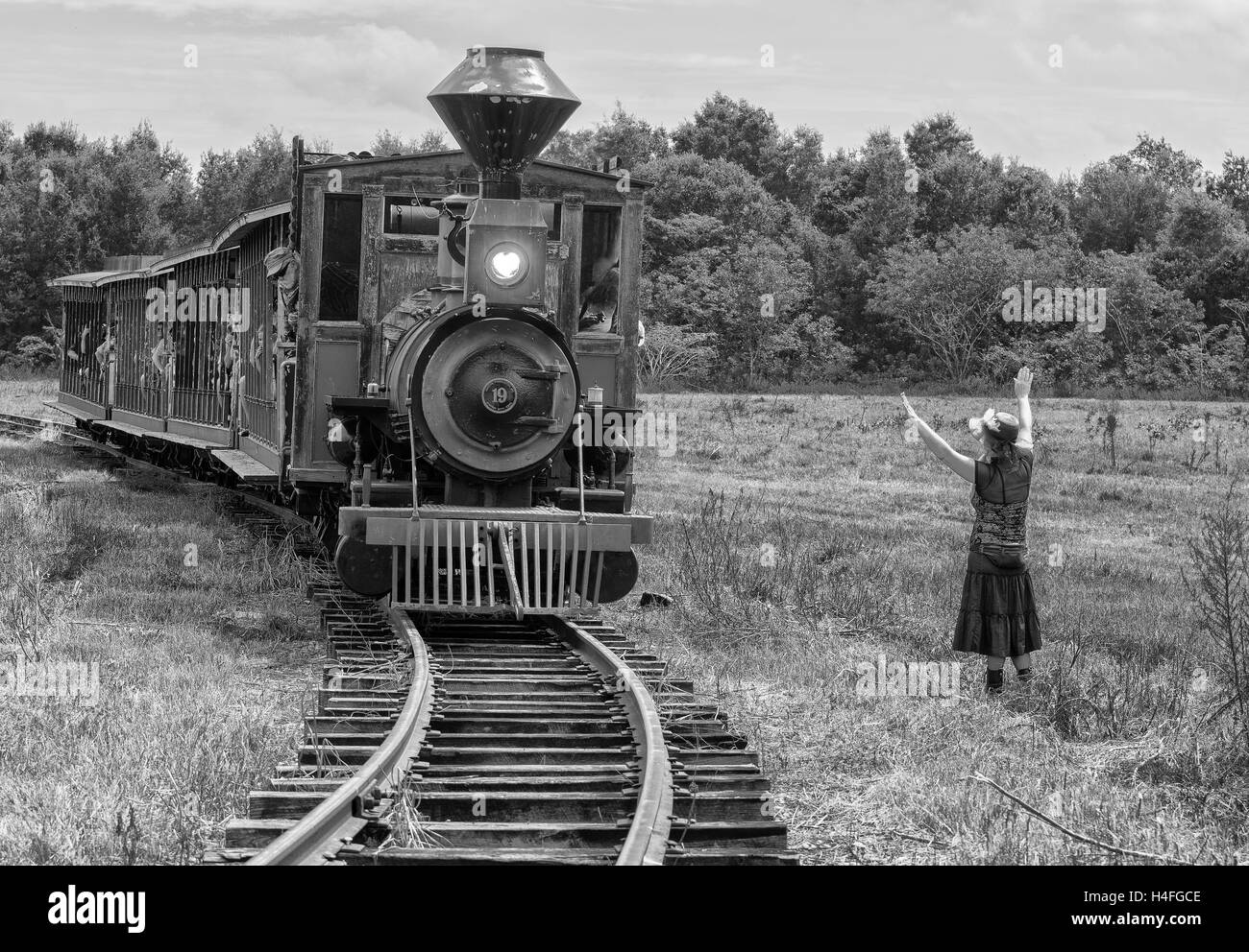 Wild Wild West Movie Train