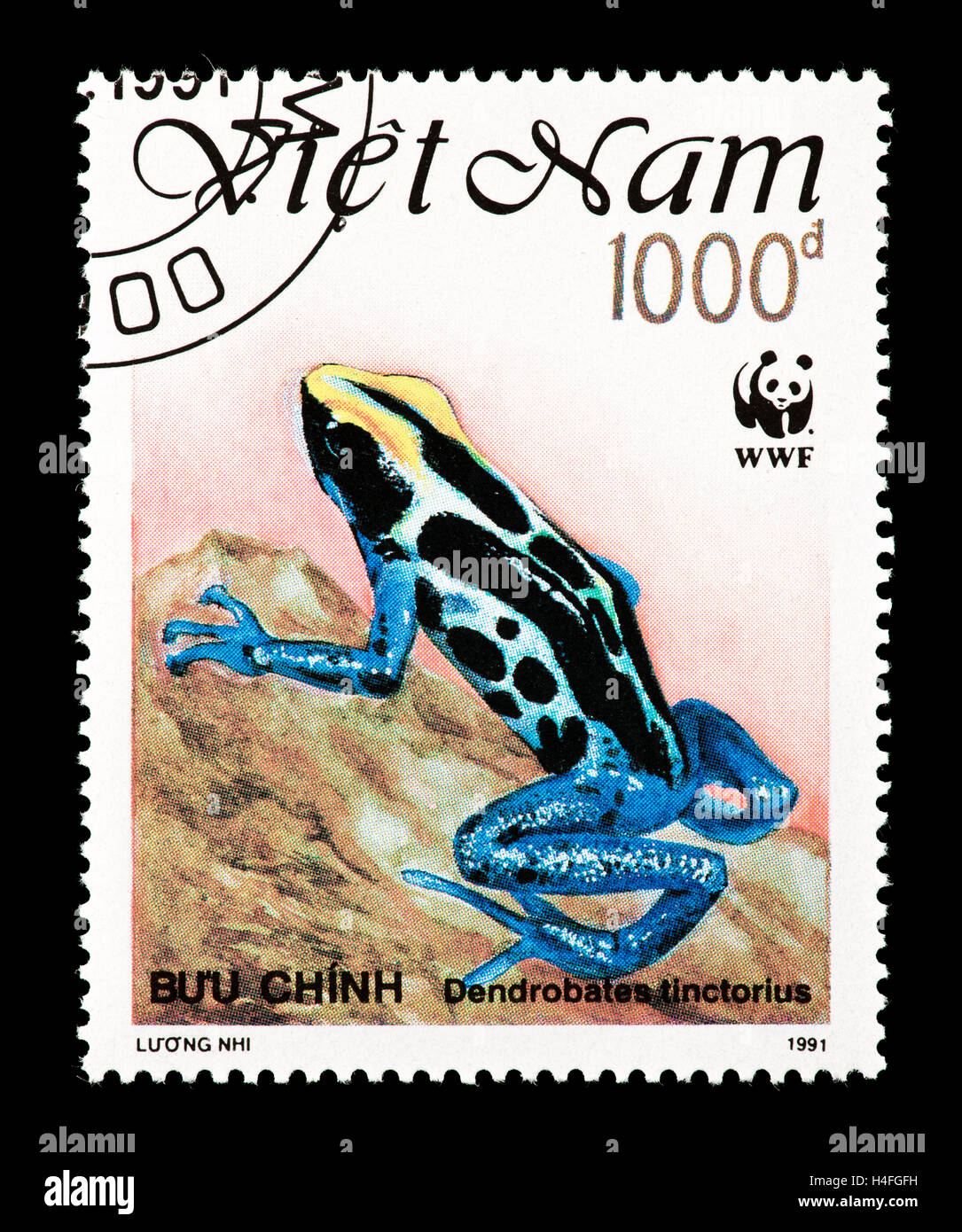 Postage stamp from Vietnam depicting dyeing dart frog, tinc or dyeing ...