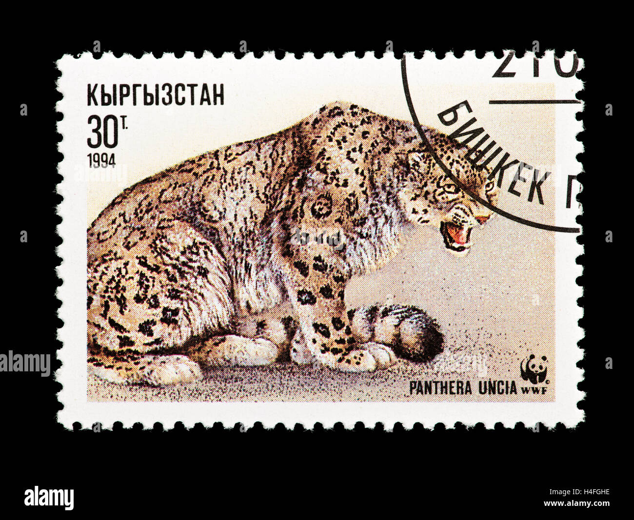 Postage stamp from Kyrgyzstan depicting a snow leopard Stock Photo - Alamy