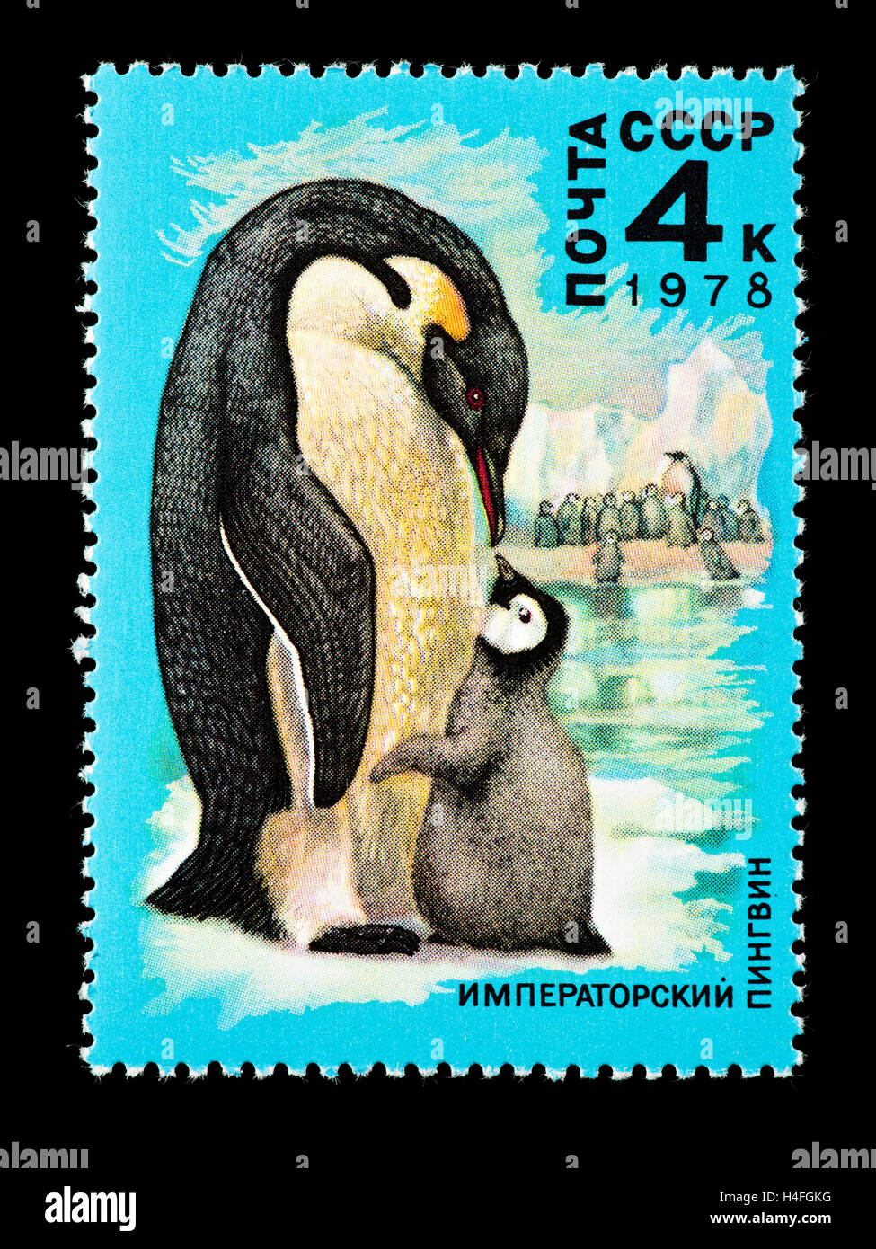 Postage stamp from the Soviet Union depicting an Emperor penguin and ...