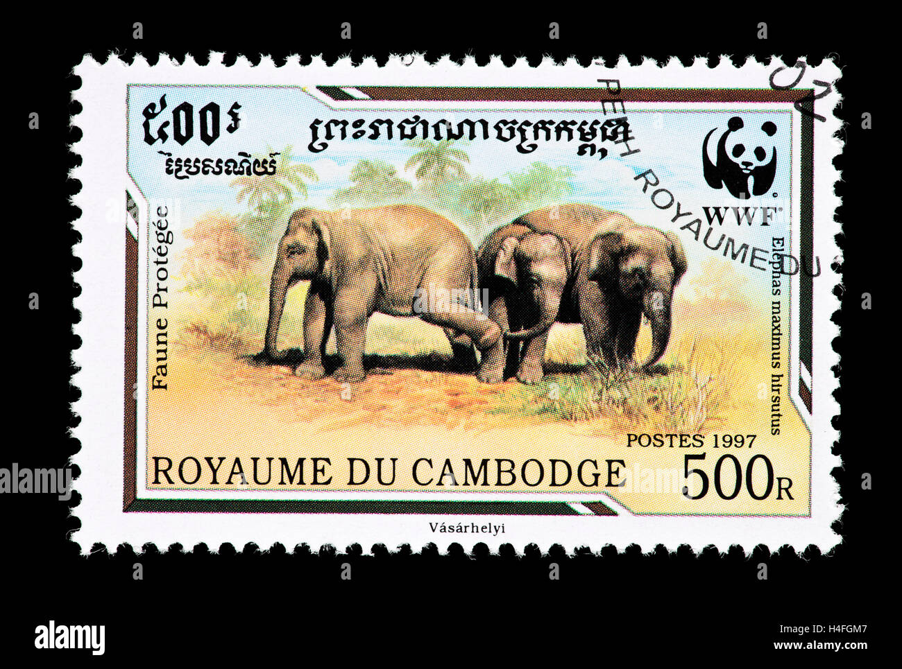 Postage stamp from Cambodia depicting Asian elephants (Elephas maximus ...