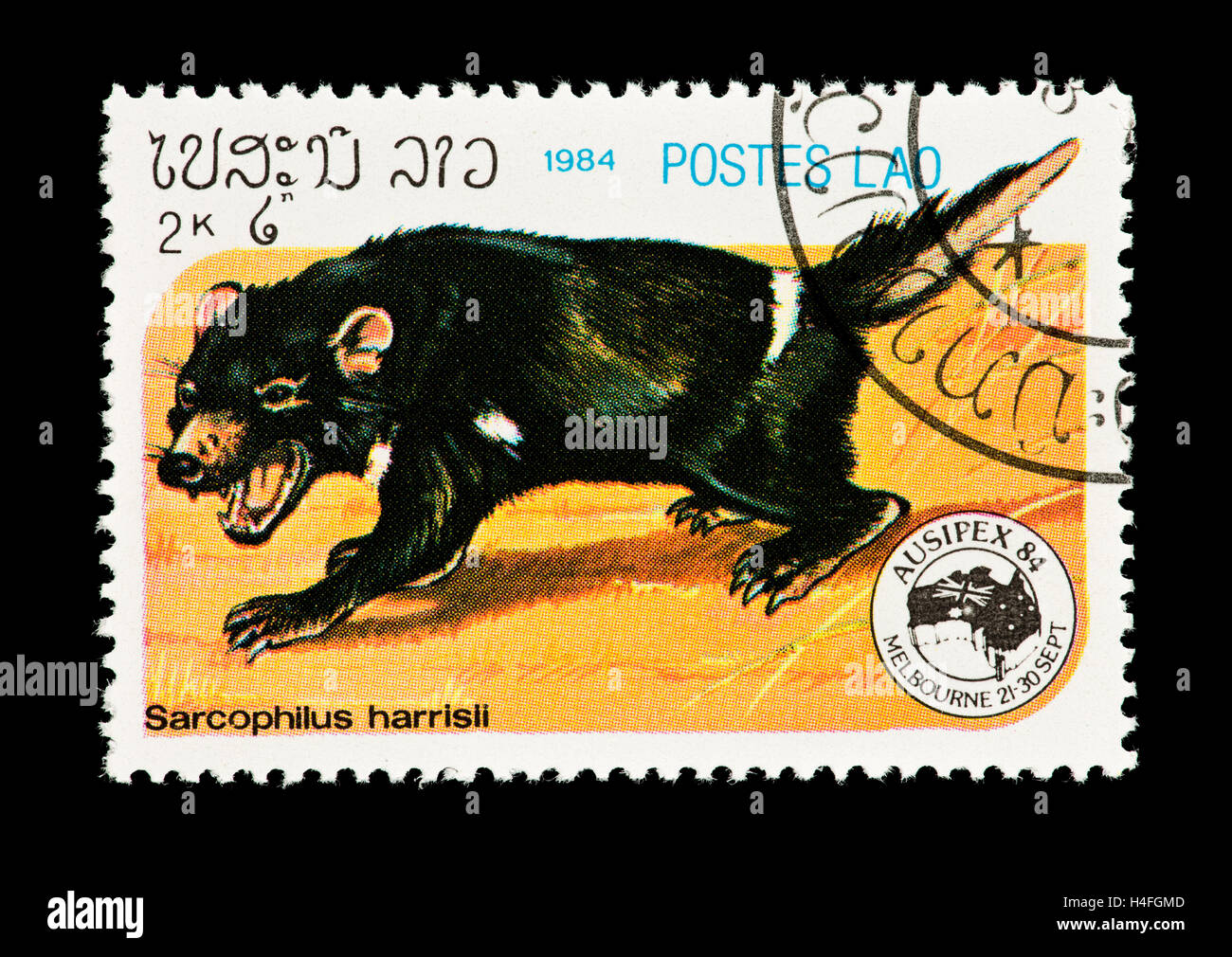 Postage stamp from Laos depicting a Tasmanian devil (Sarcophilus ...