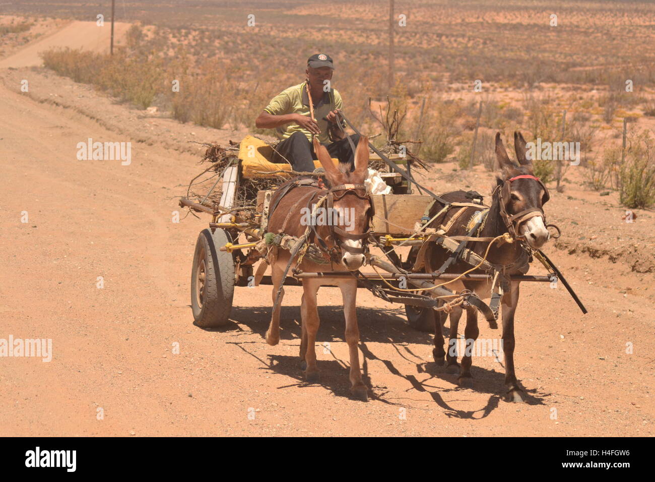 Desert donkey cart hi-res stock photography and images - Alamy