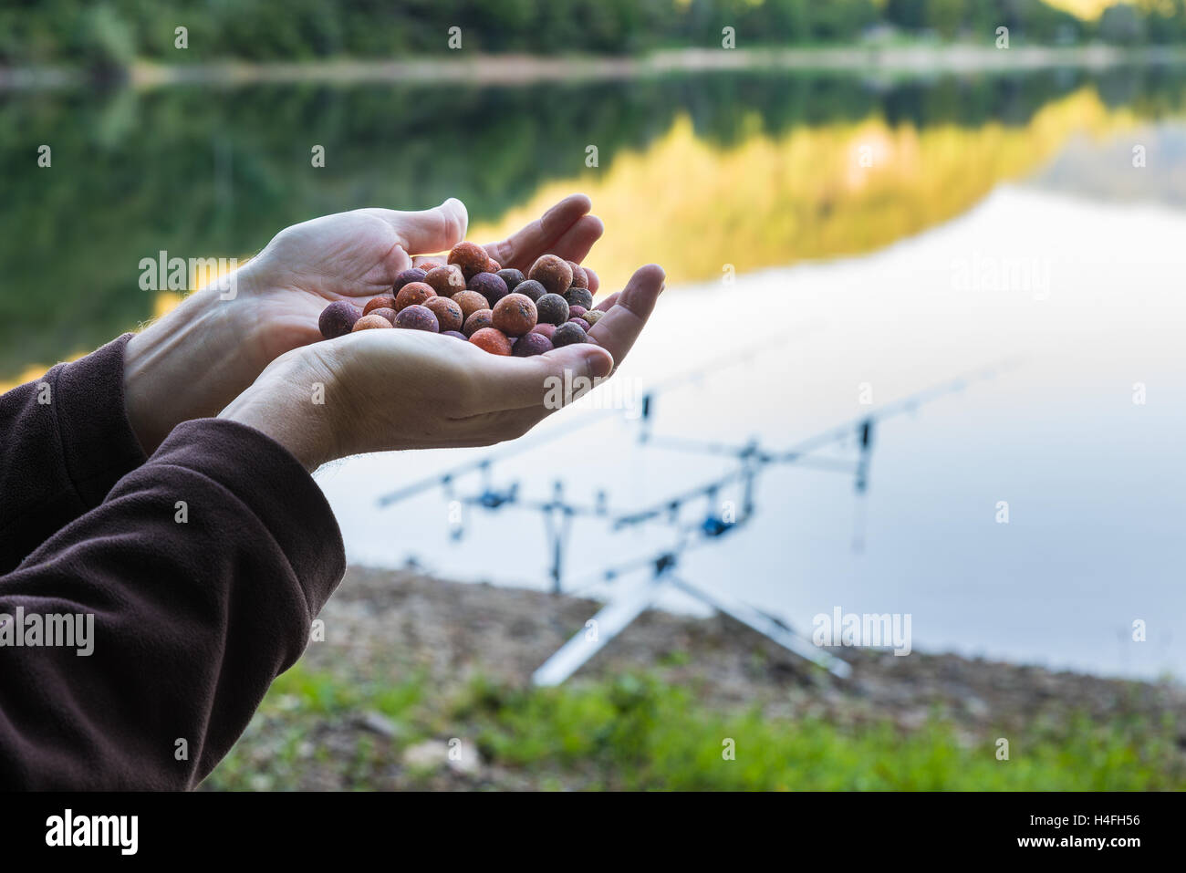 Boilies, bait for carp fishing Stock Photo - Alamy