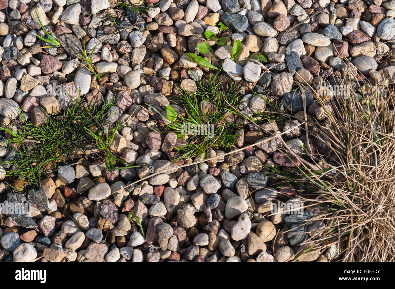 Rock and grass background Stock Photo - Alamy