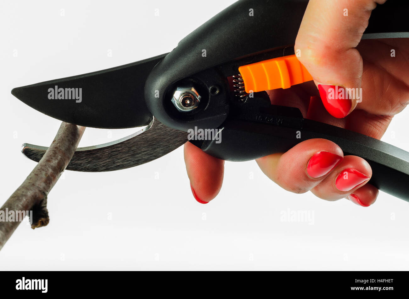 Hedging cutter hi-res stock photography and images - Alamy
