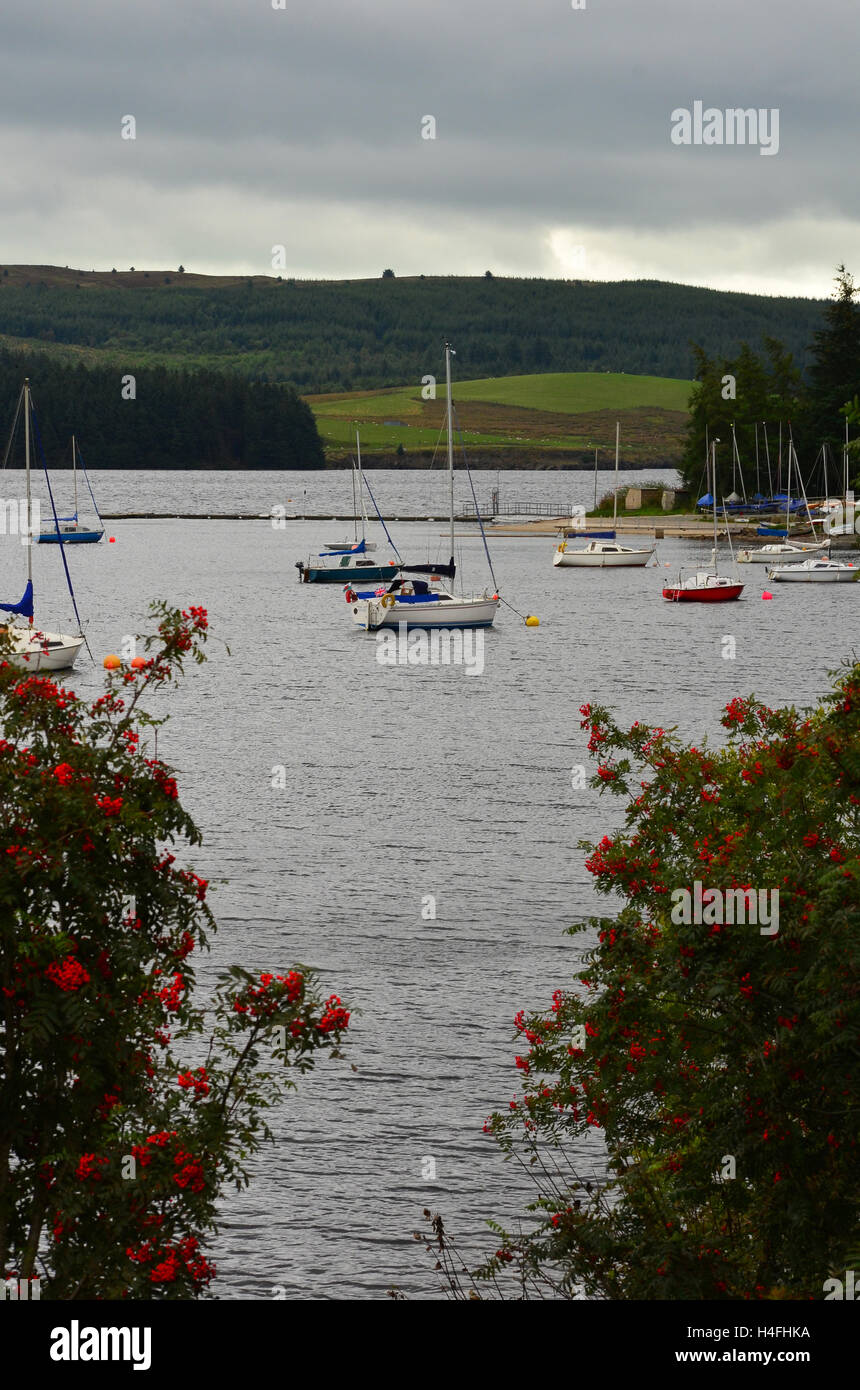 Llyn Brenig Wales Uk Stock Photo - Alamy Llyn Brenig Wales Uk Stock Photo - Alamy