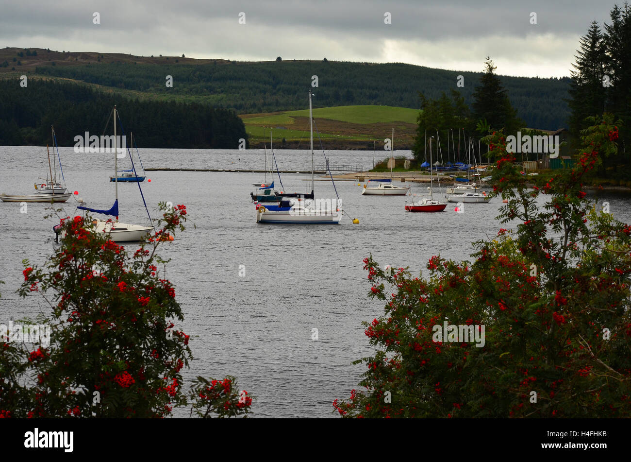 Llyn Brenig Wales Uk Stock Photo - Alamy Llyn Brenig Wales Uk Stock Photo - Alamy
