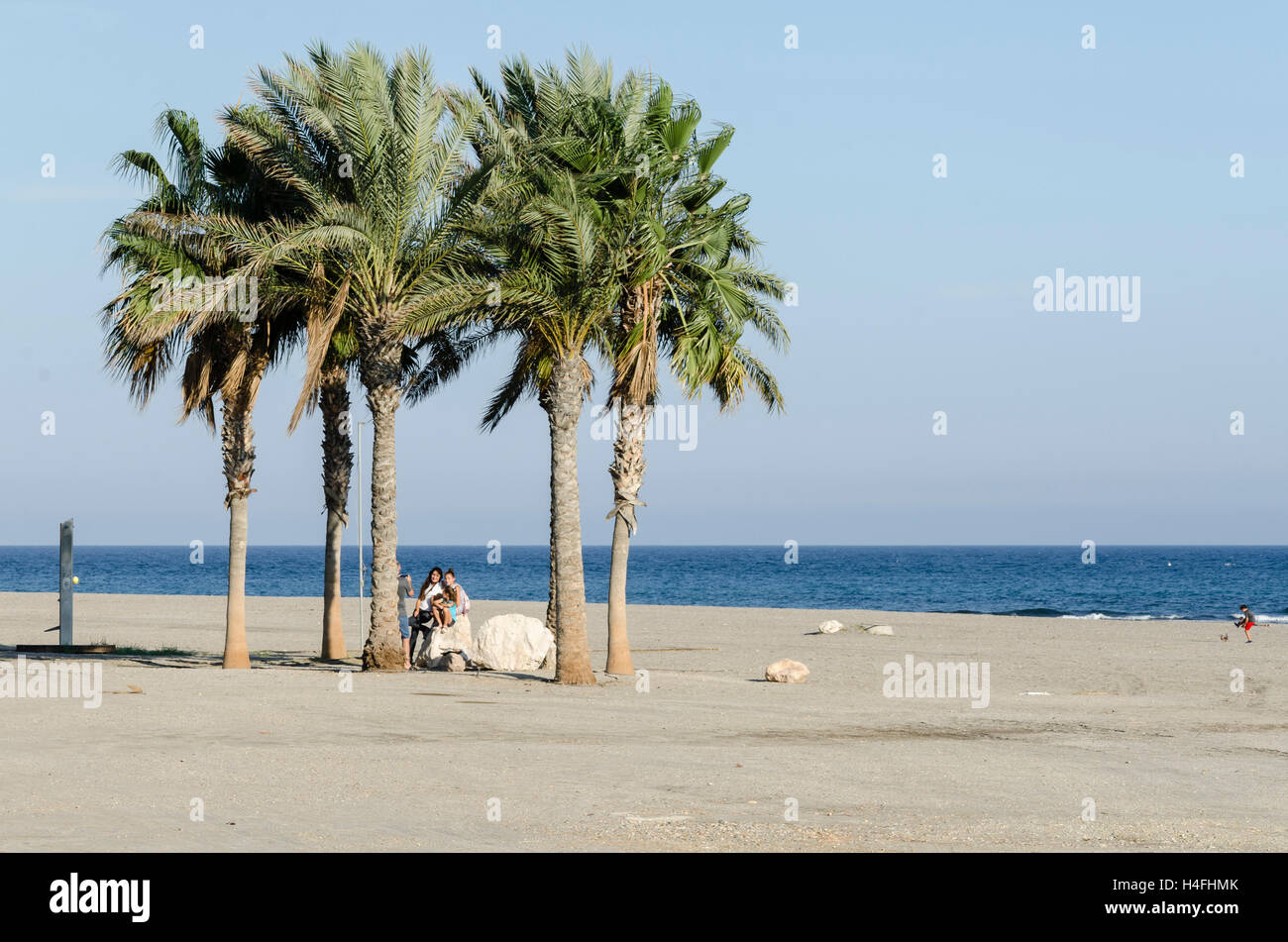 View of a palm trees in a beach of Carboneras, Almería, Spain Stock ...